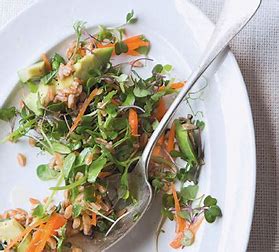 Sprouted Salad | organics, salad, simple salad and more | Organic ...